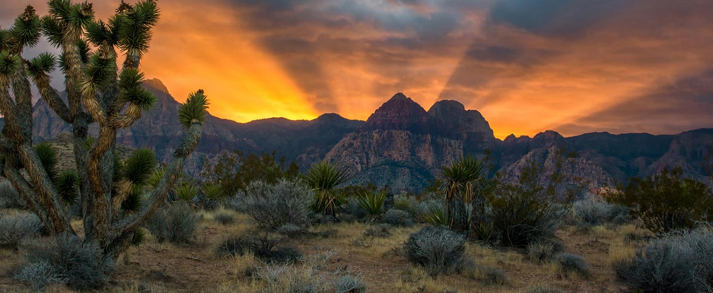 Support Save Red Rock - Save Red Rock Canyon